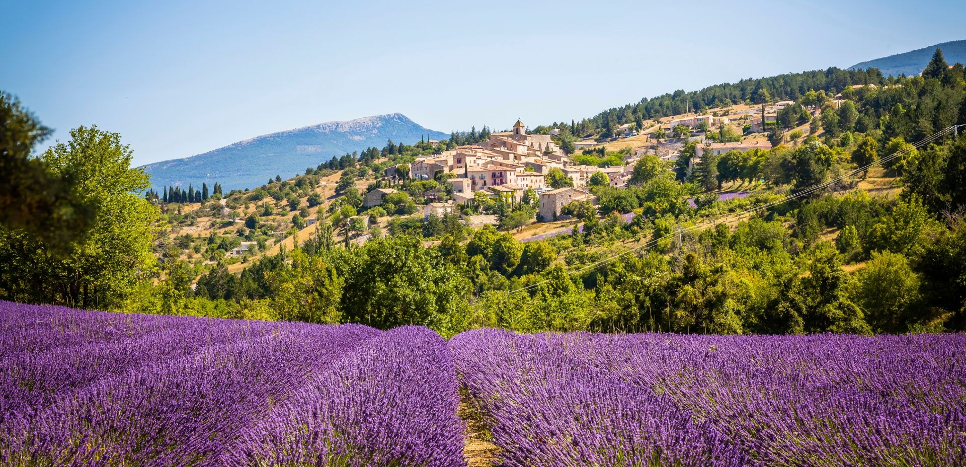Accueil - Département de Vaucluse